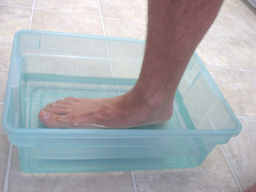 Weekly Progress Update 1 - Somastruct