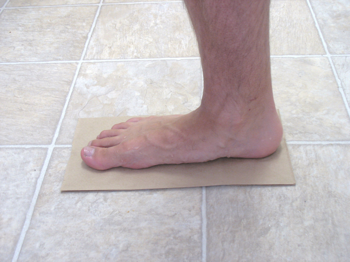 Weekly Progress Update 1 - Somastruct